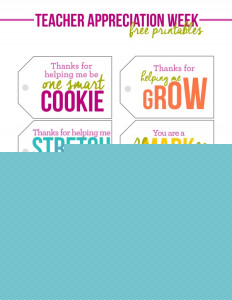 Quick and EASY Teacher Appreciation Week Gifts | Free Printables ...